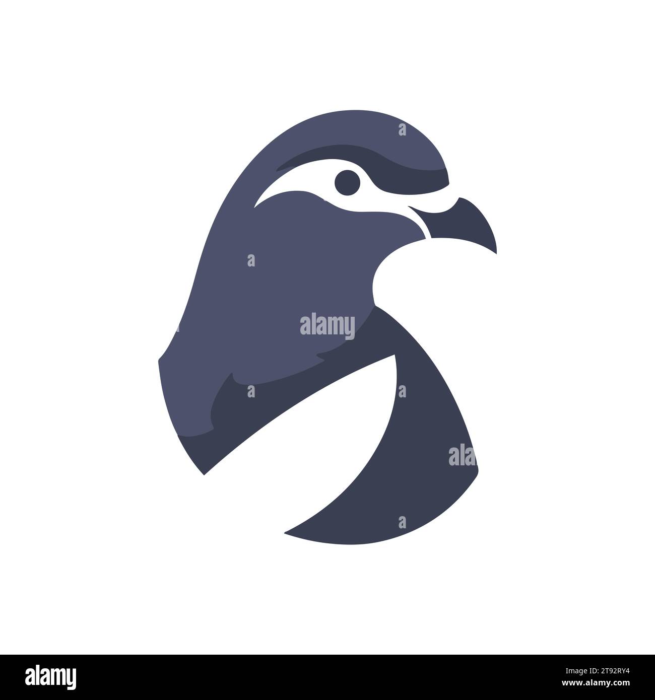 Pigeon bird logo design isolated on white background. Vector ...