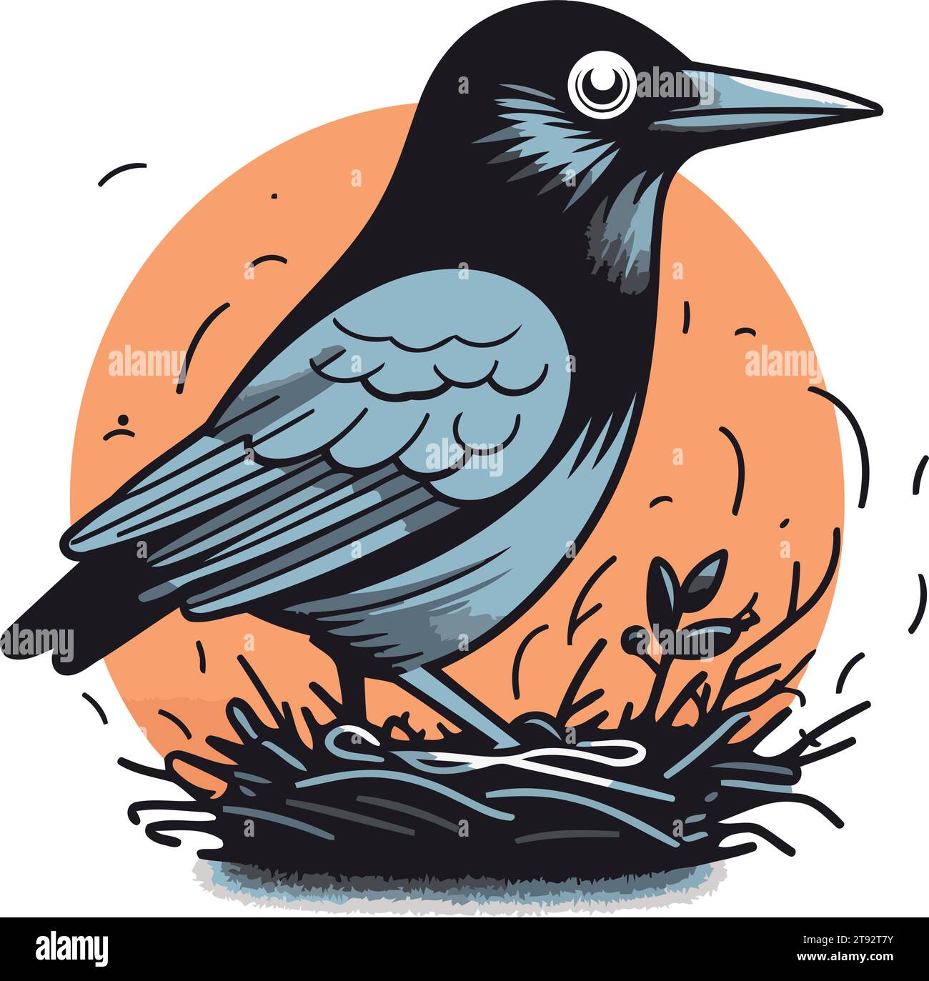Jackdaw illustration Stock Vector Images - Alamy