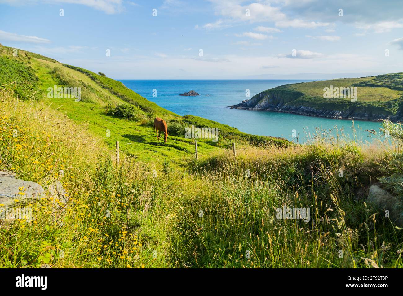 Tralong bay hi-res stock photography and images - Alamy