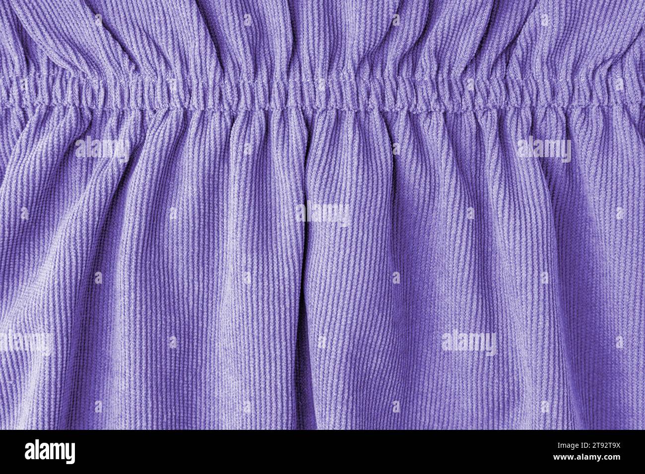 Purple corduroy fabric gathered with elastic close-up. Velveteen ...