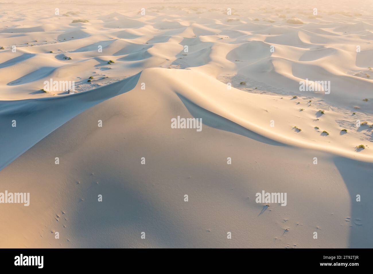 Cracked soil and curved river as water sources. Global warming concept ...