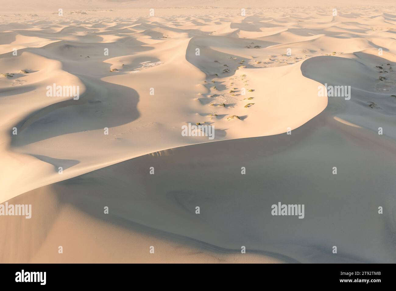 Cracked soil and curved river as water sources. Global warming concept ...