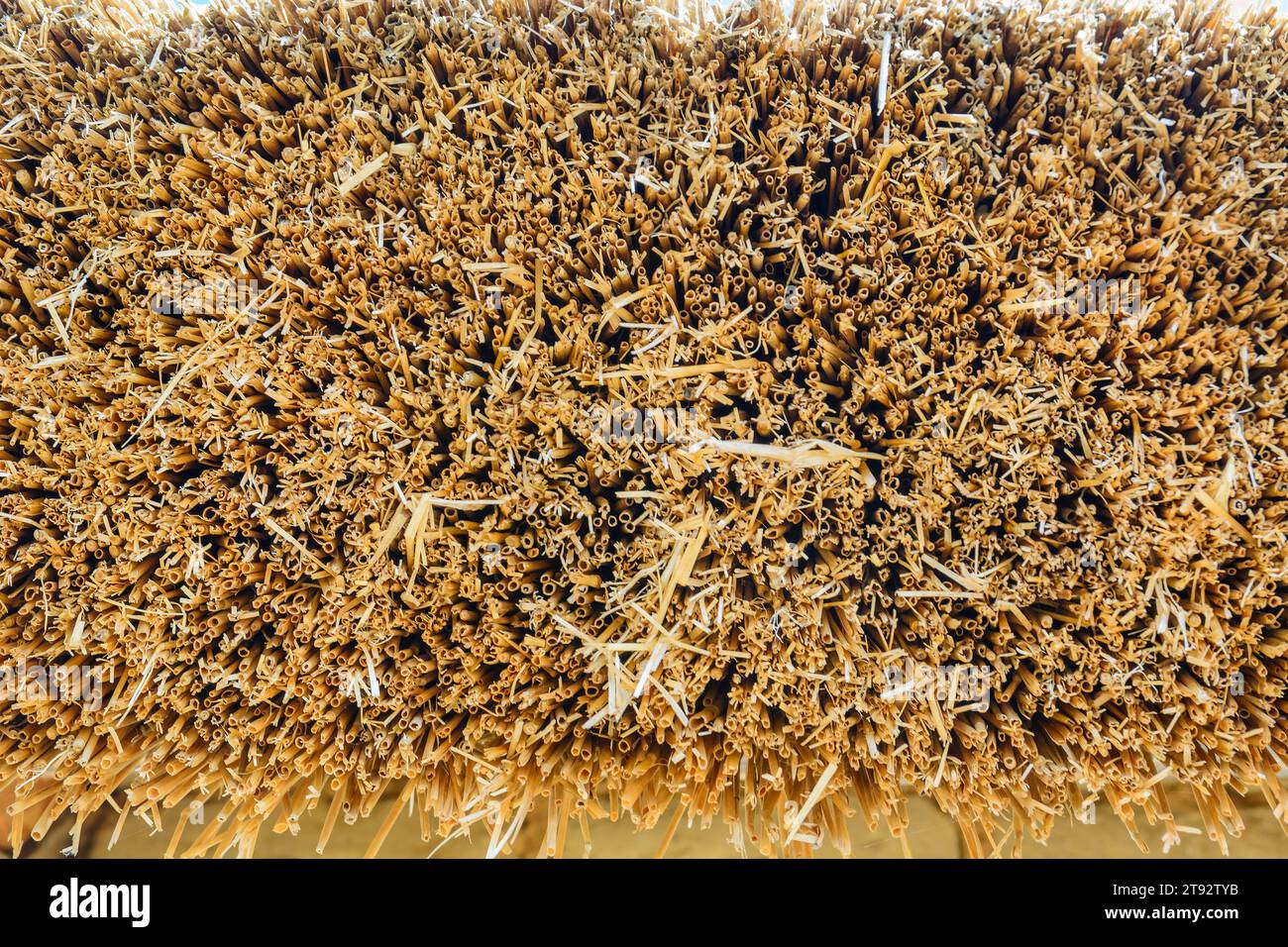 Reed roof, reed roof texture close-up Stock Photo - Alamy
