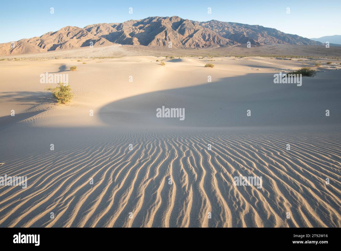 Cracked soil and curved river as water sources. Global warming concept ...