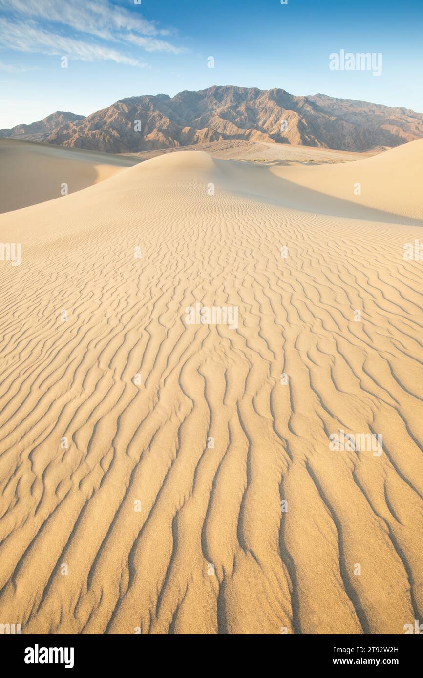 Cracked soil and curved river as water sources. Global warming concept ...