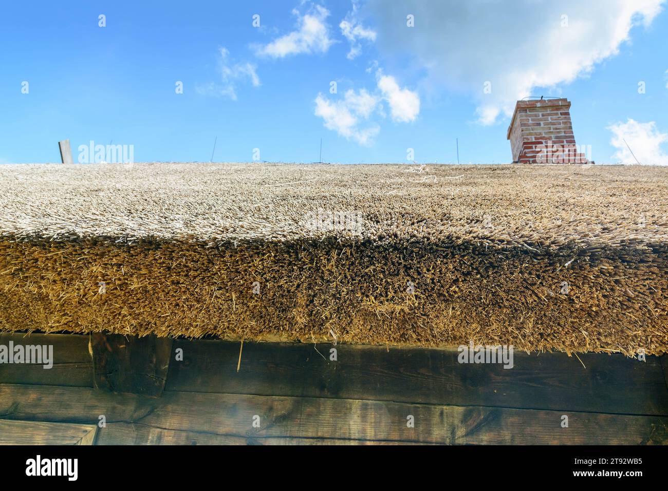 Reed roof, reed roof texture close-up Stock Photo - Alamy
