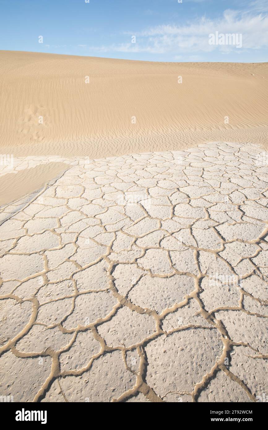 Cracked soil and curved river as water sources. Global warming concept ...