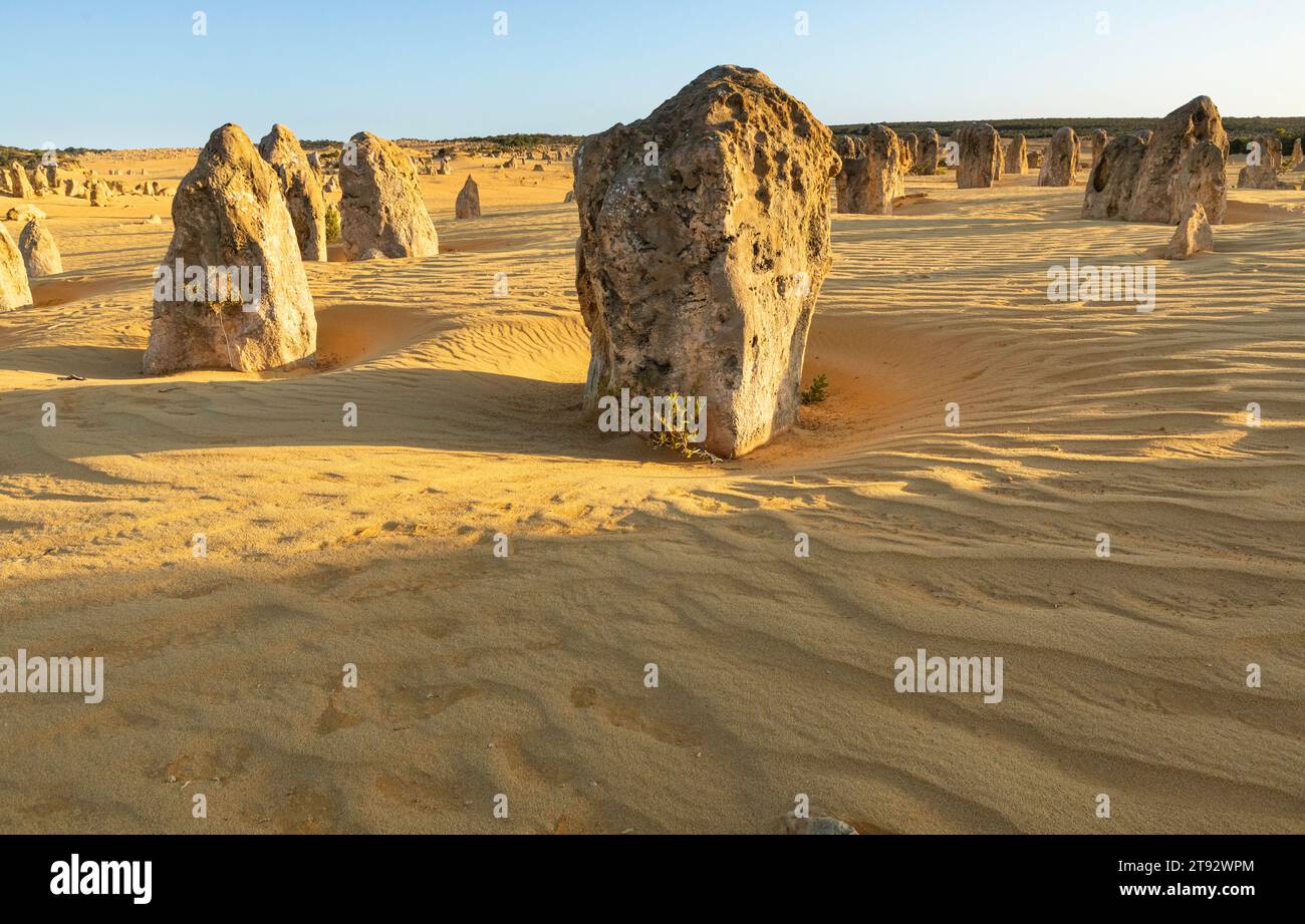 The limestone Pinnacles, Nambung National Park Stock Photo - Alamy