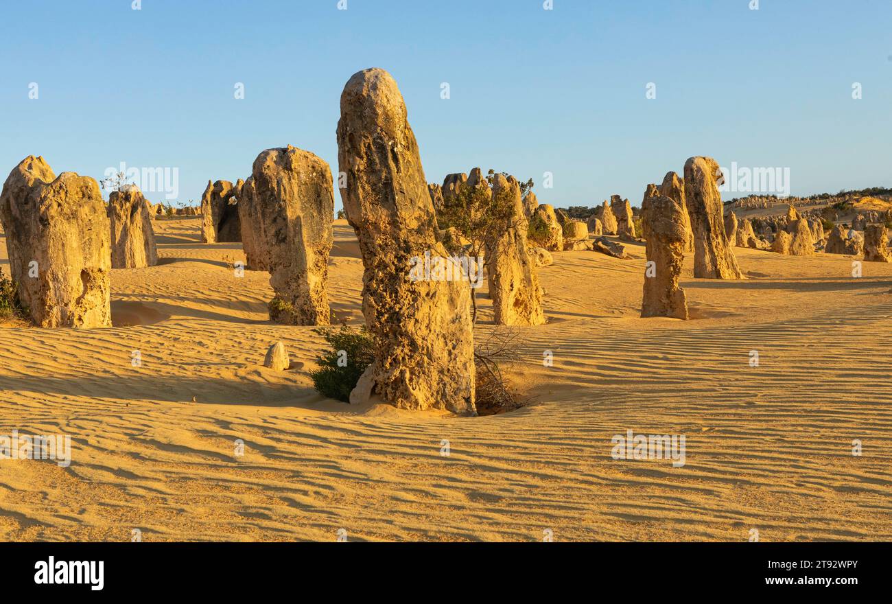 The limestone Pinnacles, Nambung National Park Stock Photo - Alamy