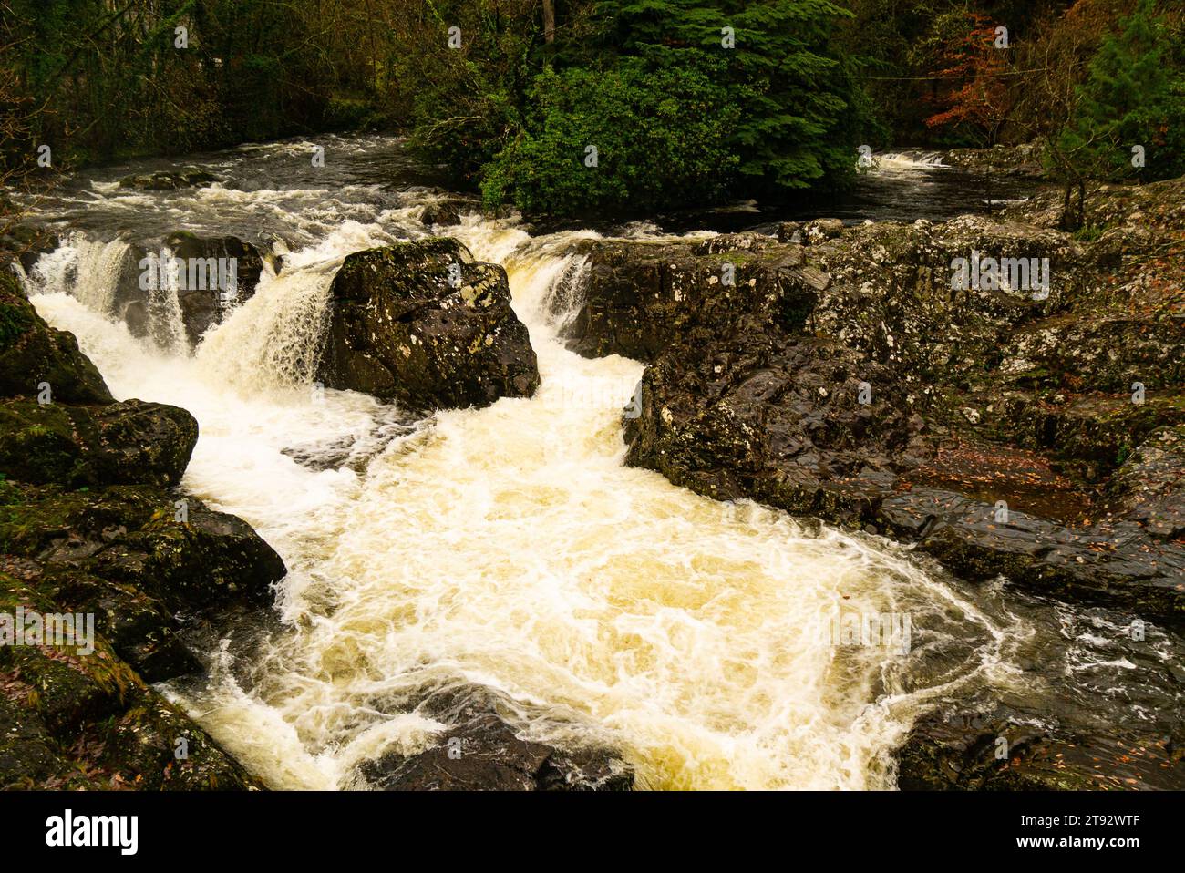 Betws y Coed Eryri Snowdonia National Park Wales UK Afon Llugwy in full ...