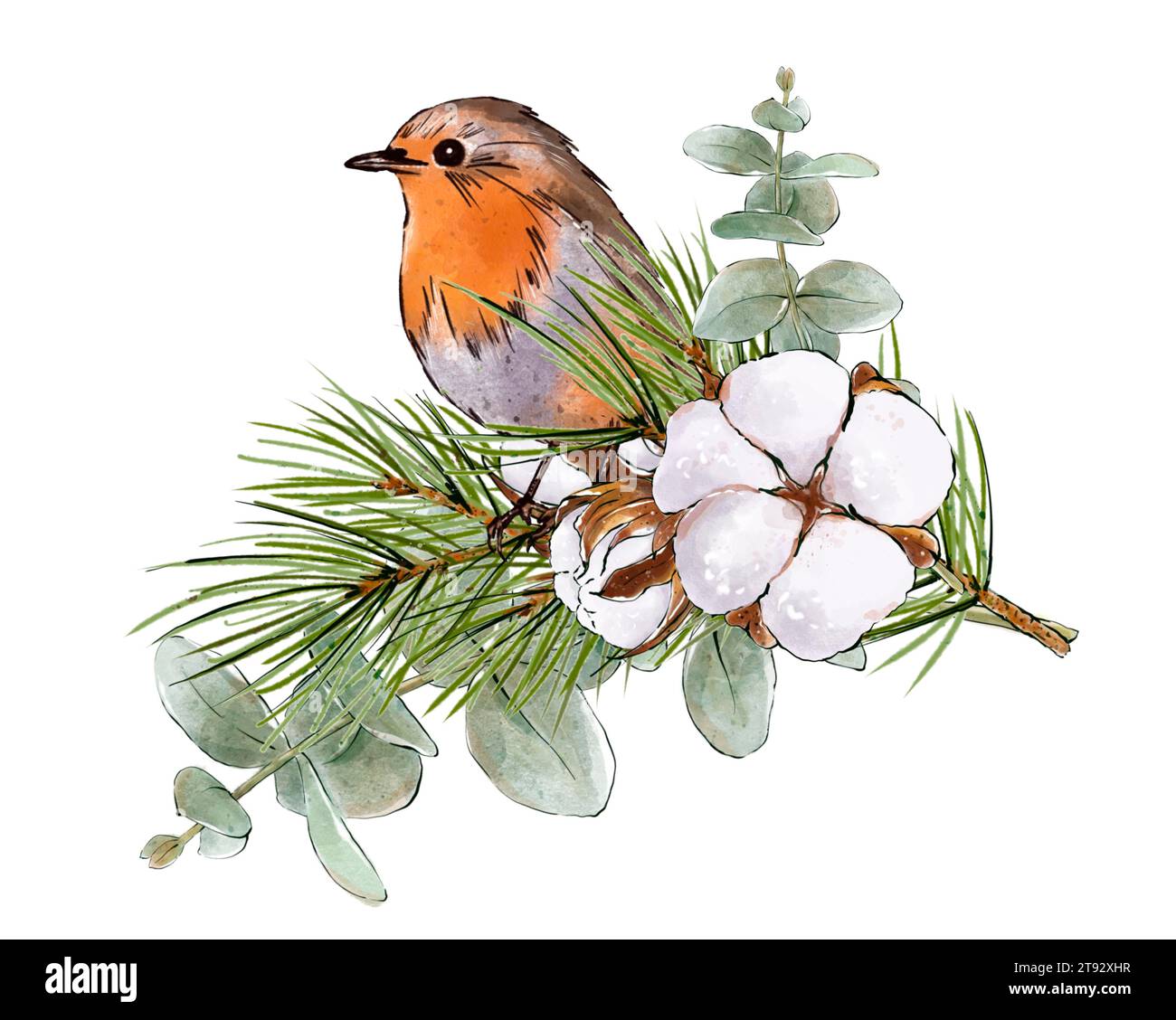 Watercolor Christmas bouquet of fir branch, greenery, robin bird and ...