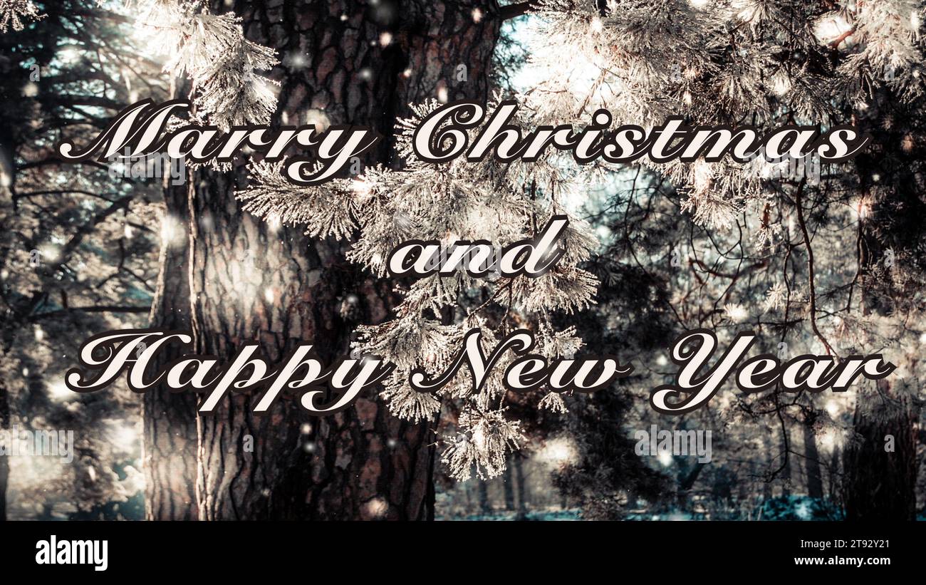 Stylized text words “black hi-res stock photography and images - Alamy