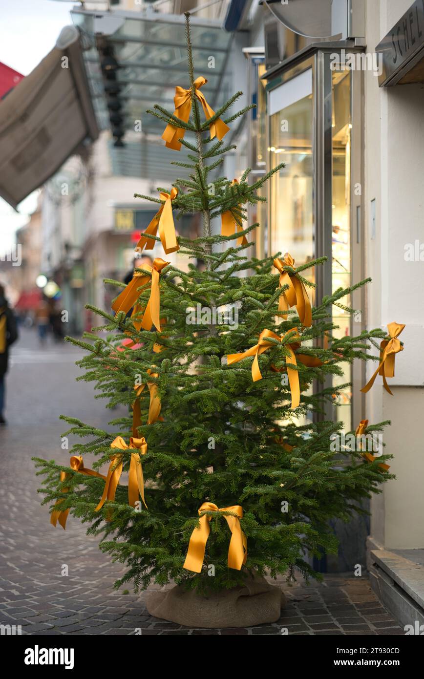 Revel in the festive ambiance of a Christmas tree gracing the ...