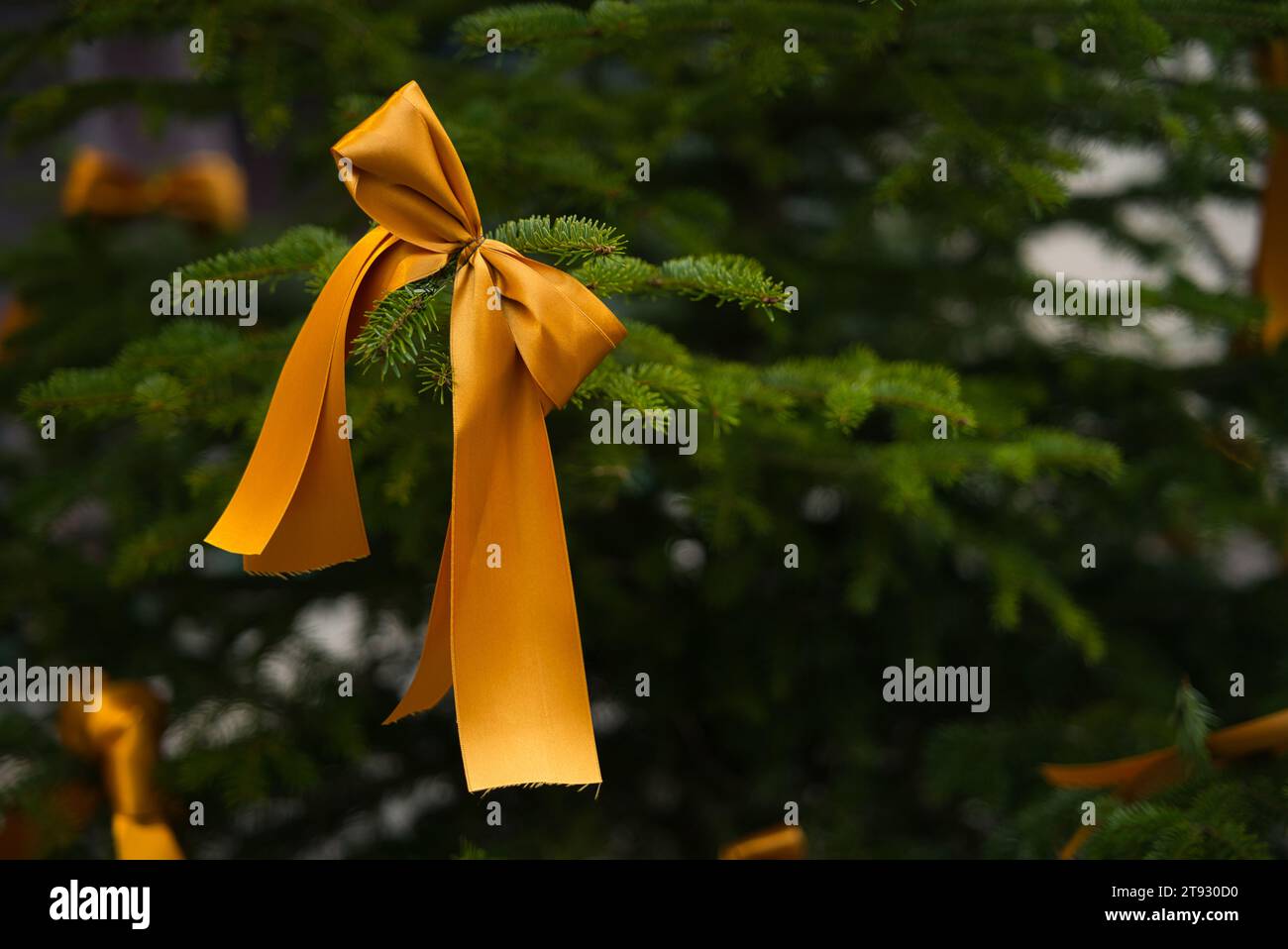 Frayed detail hi-res stock photography and images - Alamy