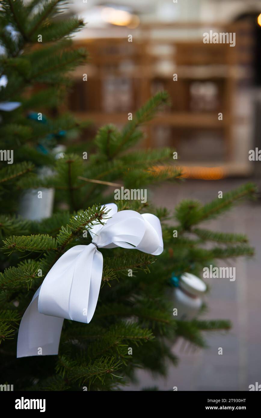 Embrace the purity of the season with a closeup of an elegant white ...