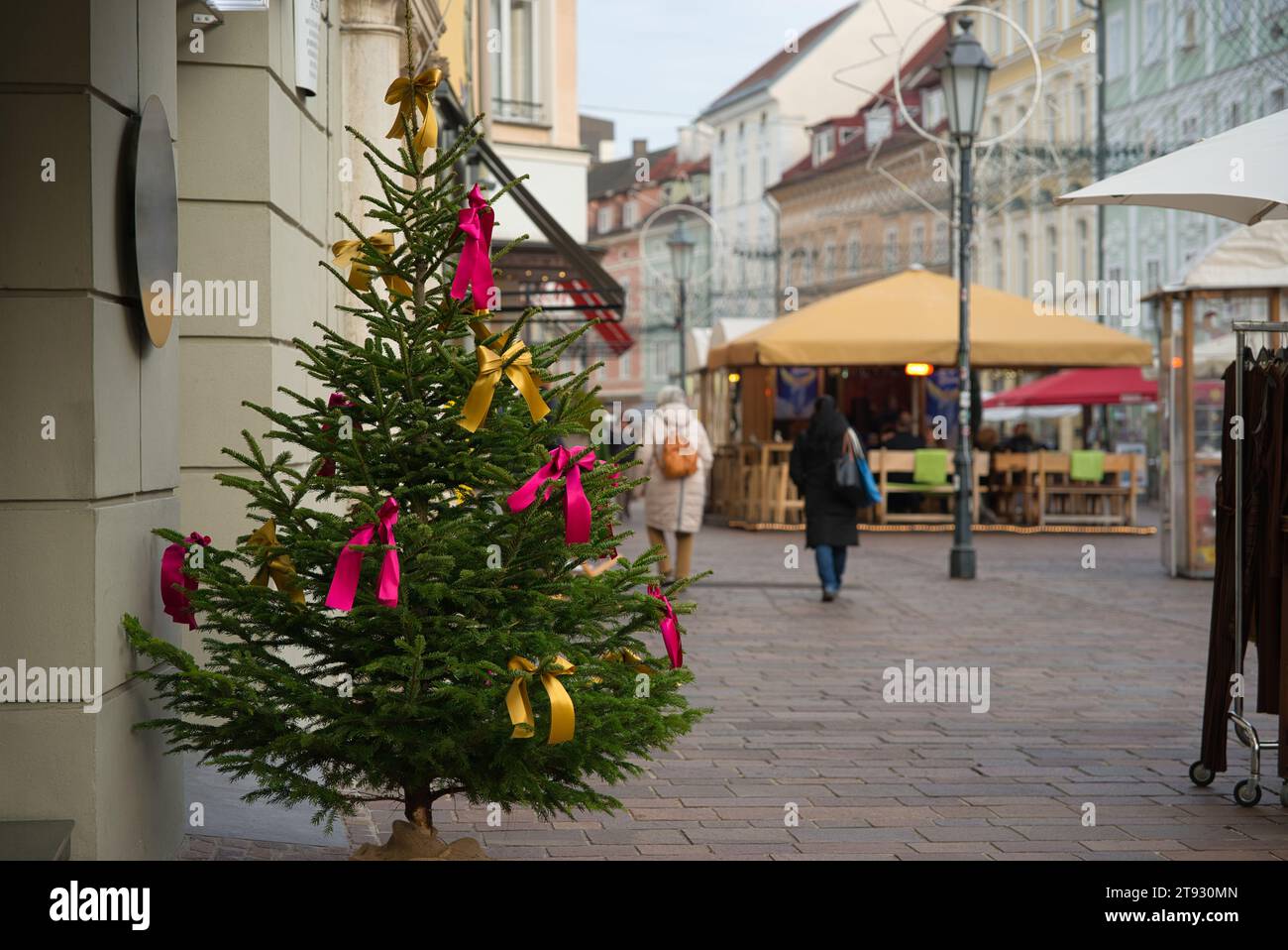 Immerse yourself in the festive atmosphere of a Christmas tree adorned ...