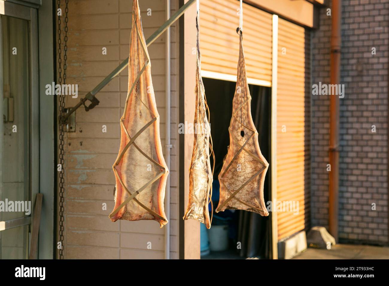 Dried fish hanging in the sun in the streets of Nachikatsuura, Wakayama ...