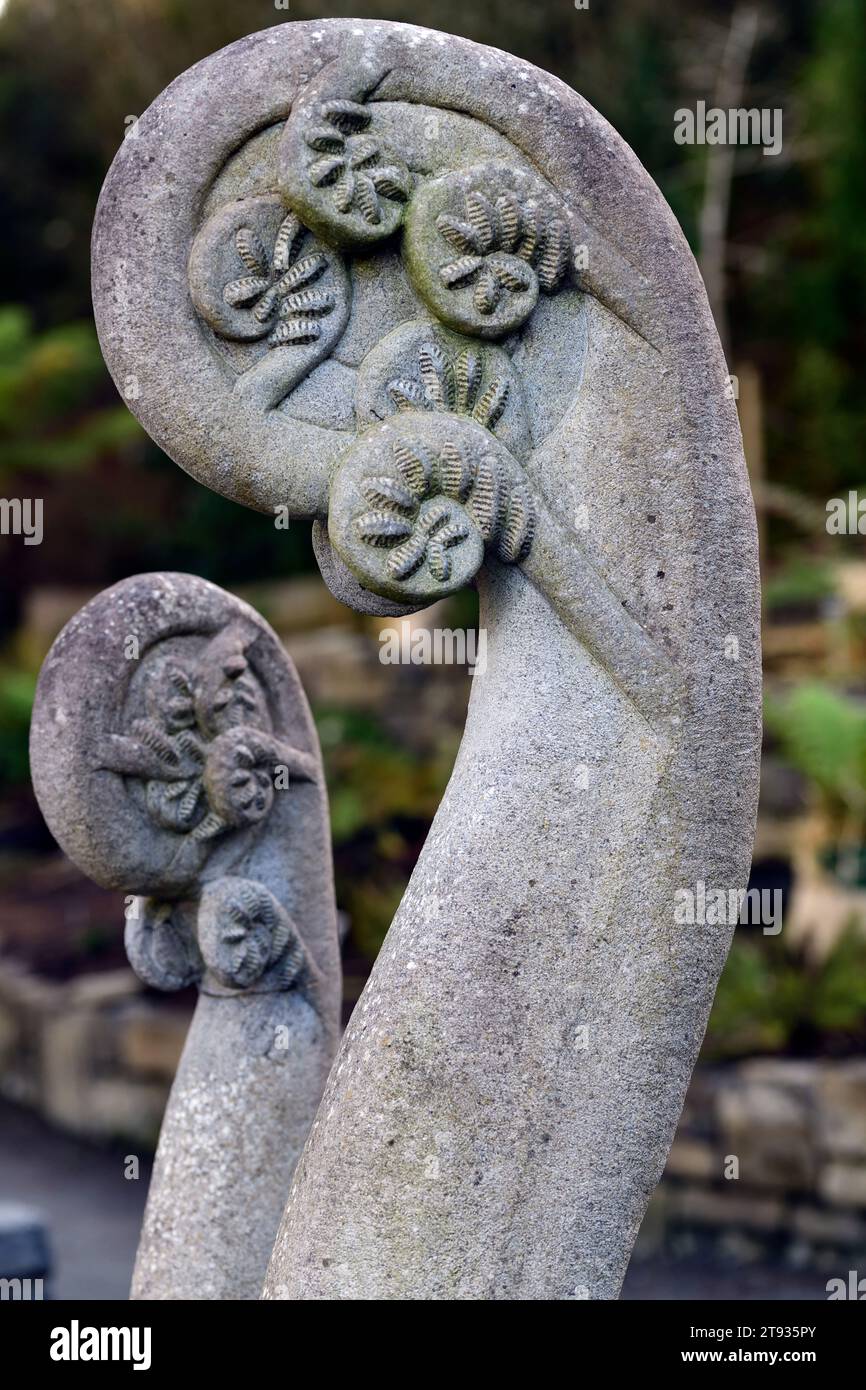 Fern by Patrick Barry,Fern sculpture,fern frond sculpture,sculpture in ...