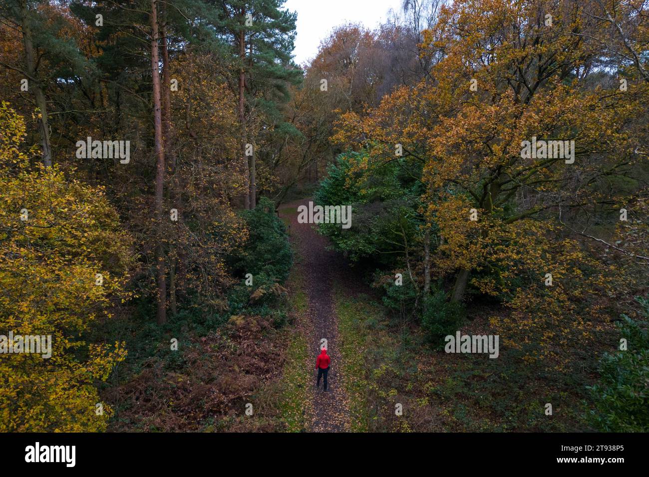 Brindley heath autumn hi-res stock photography and images - Alamy