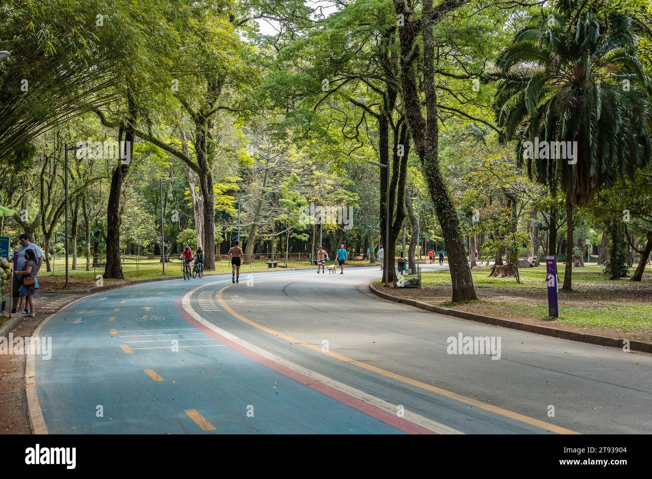 Sao Paulo, Brazil. Ibirapuera Park. Blue bike path curve on sidewalk ...