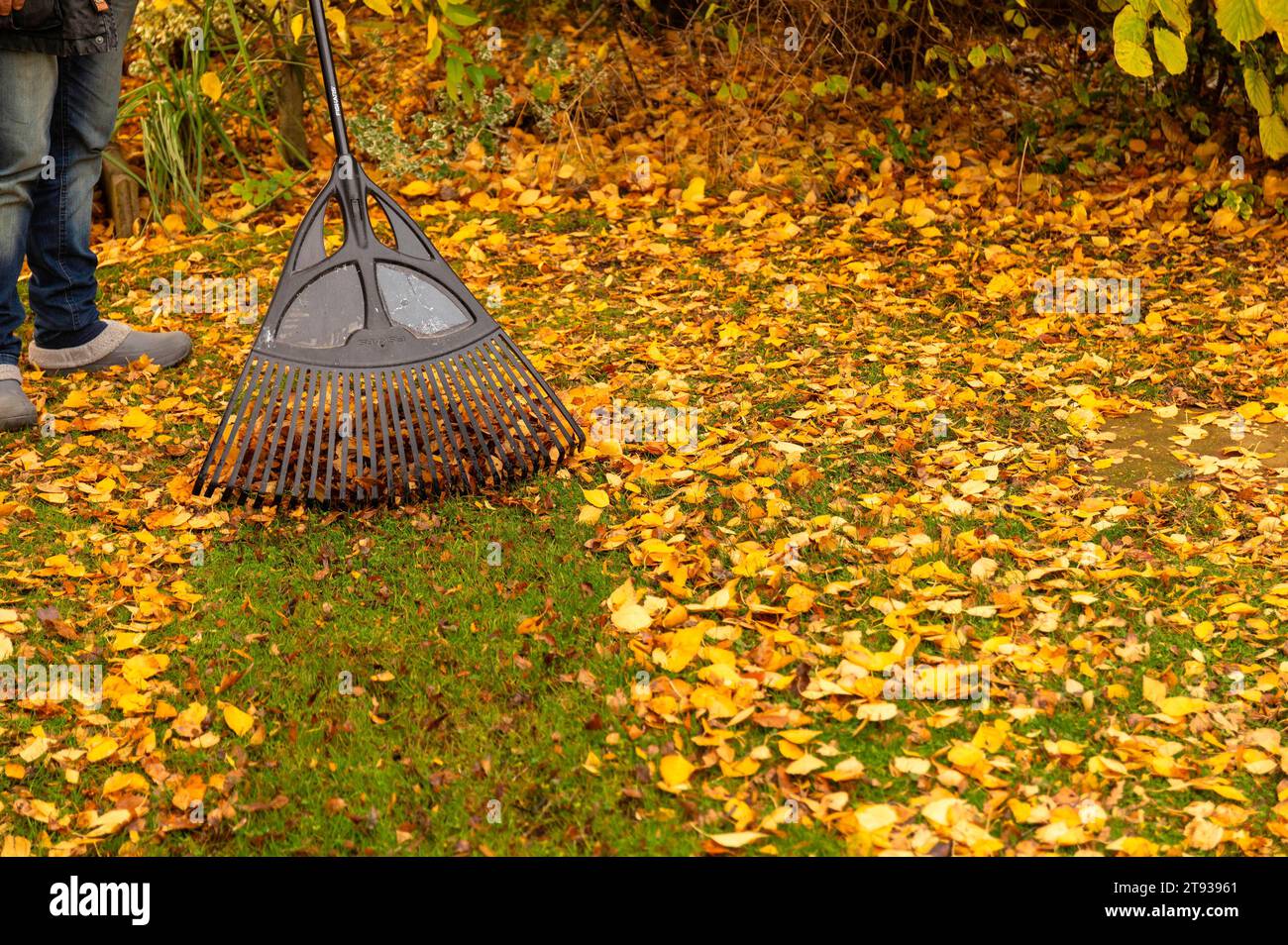 Nicht gras rasen hi-res stock photography and images - Alamy