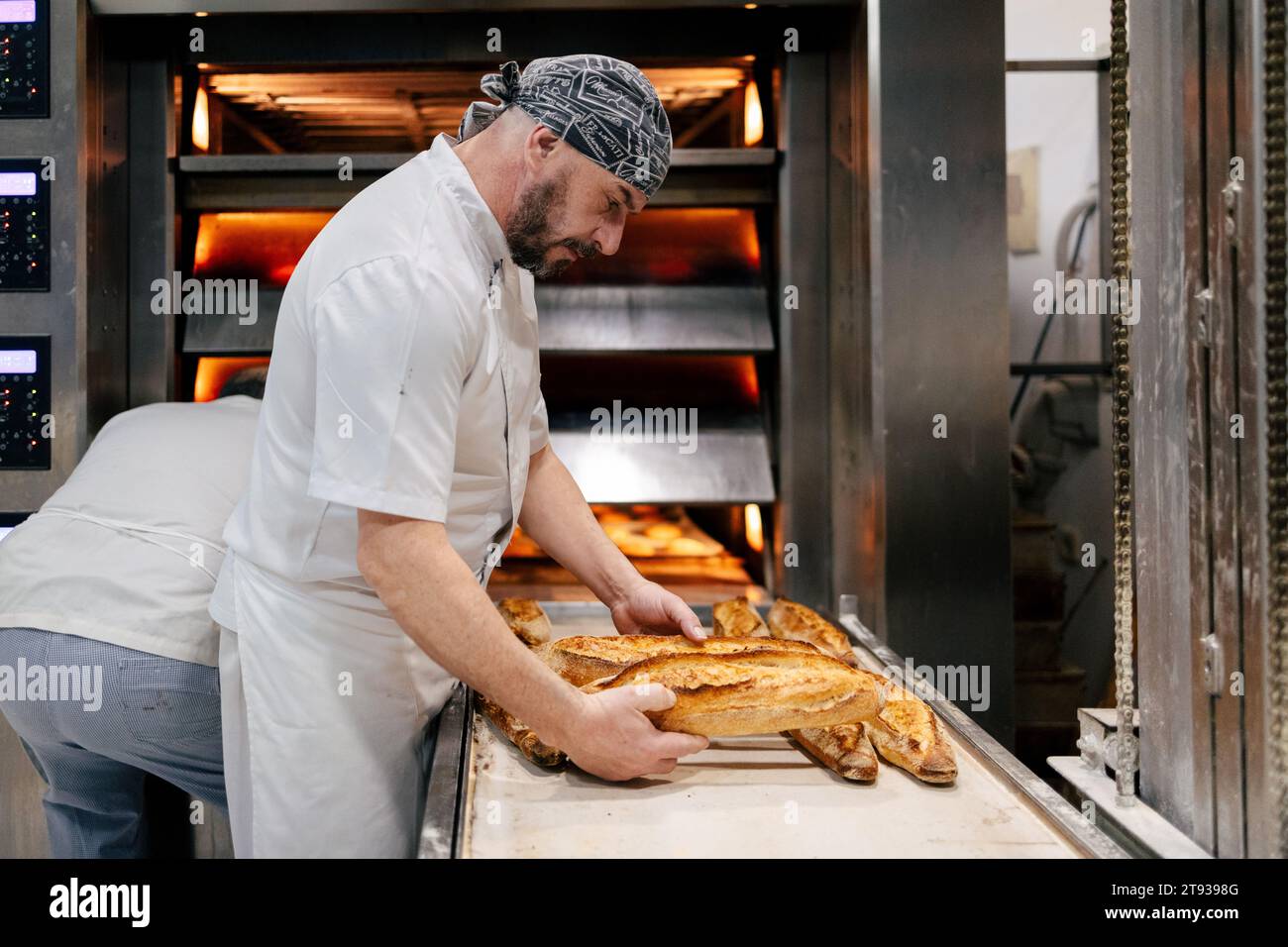 Baker dressed in white clothes picking bread from the conveyor belt ...
