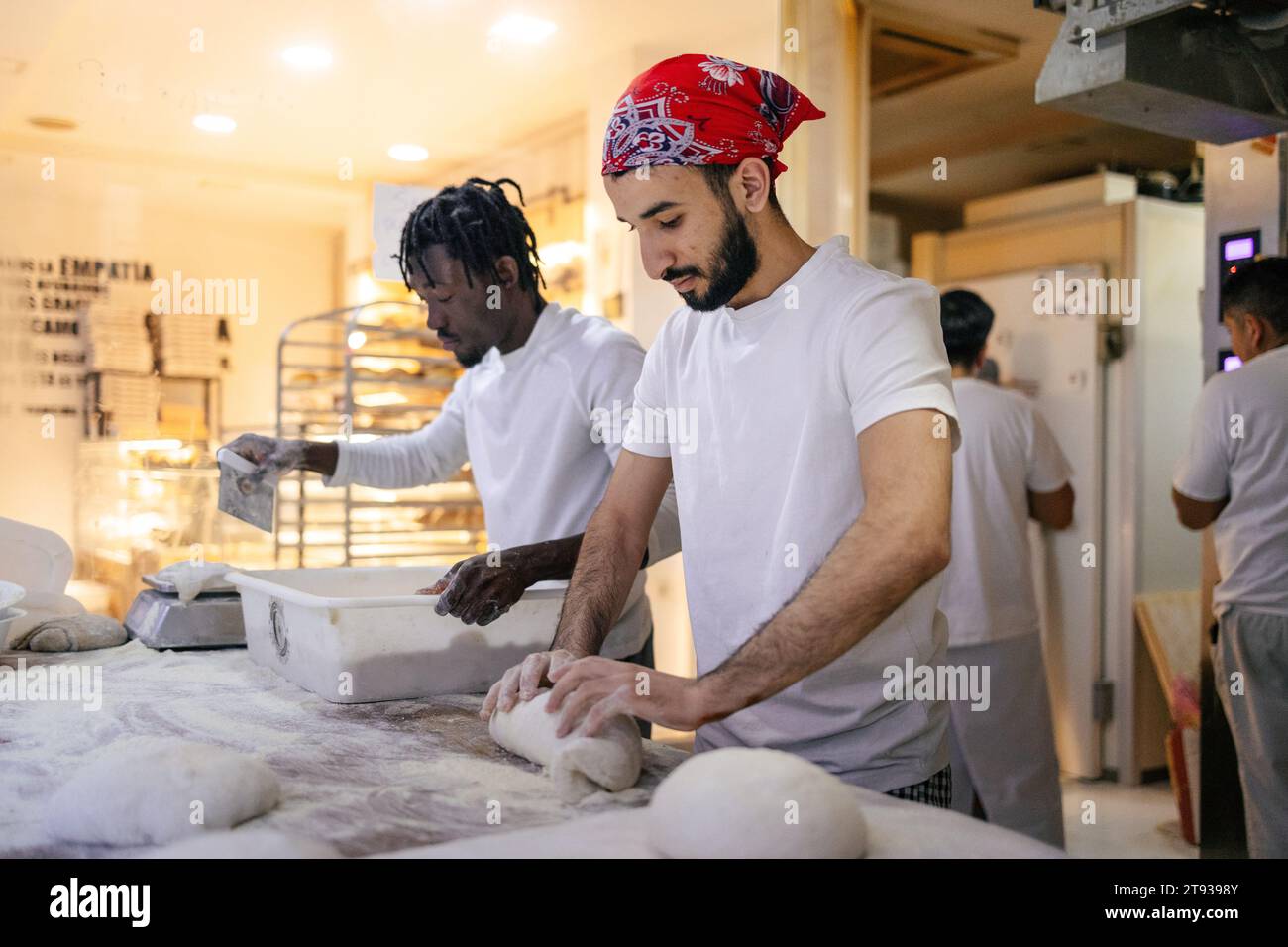 Arabic baker in white clothes and red cap kneading to make bread with a ...