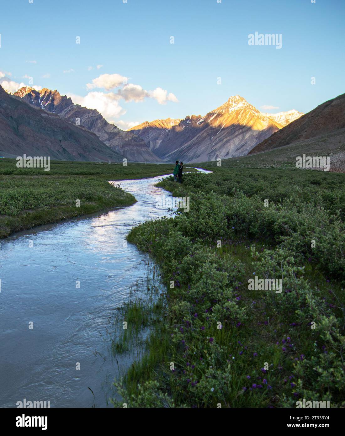 Curved stream in the midst of meadow hi-res stock photography and ...