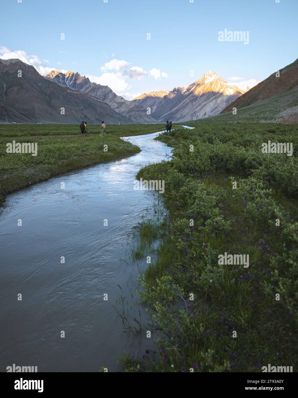 Curved stream in the midst of meadow hi-res stock photography and ...