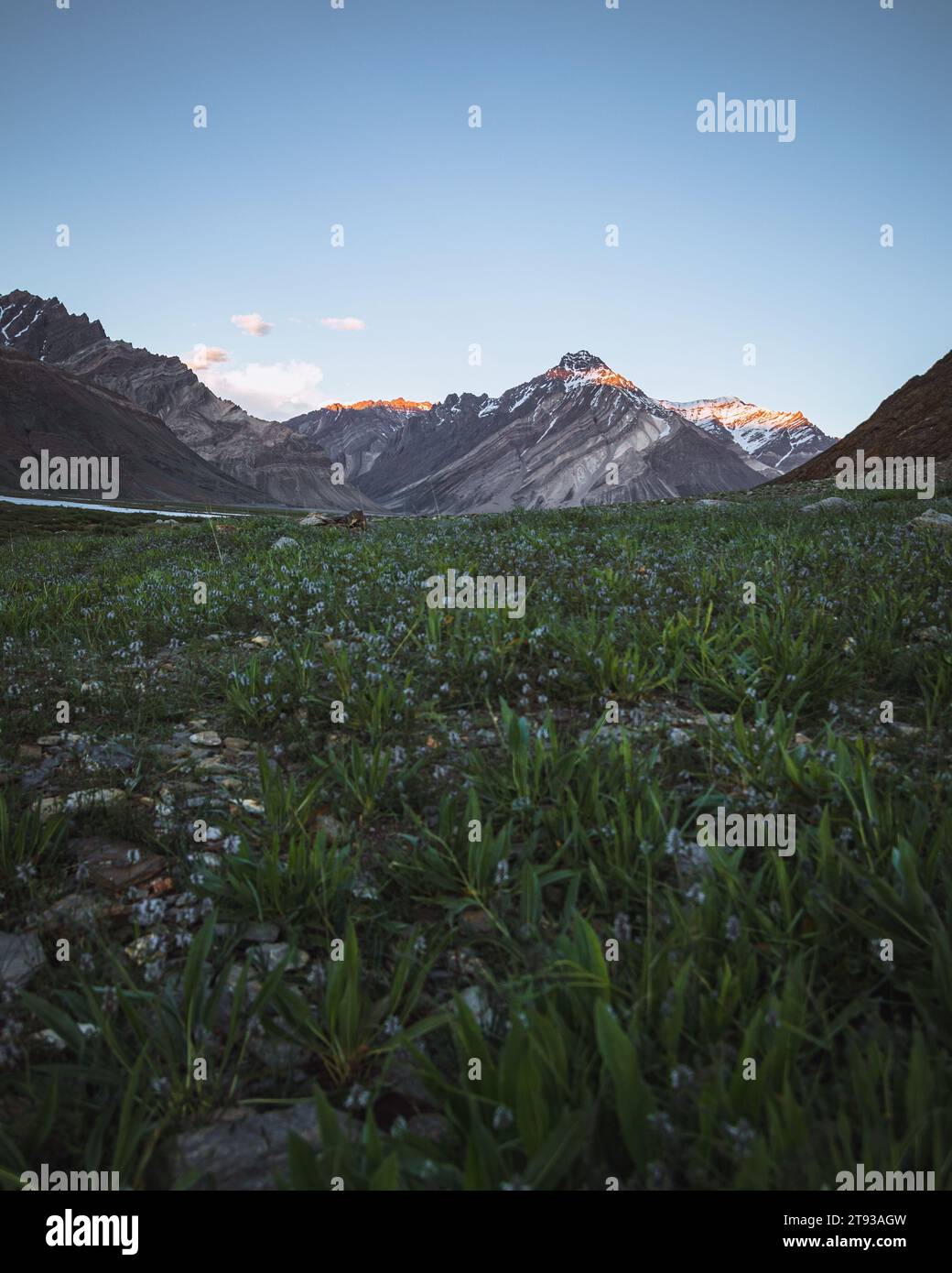 Himalyan wonder hi-res stock photography and images - Alamy