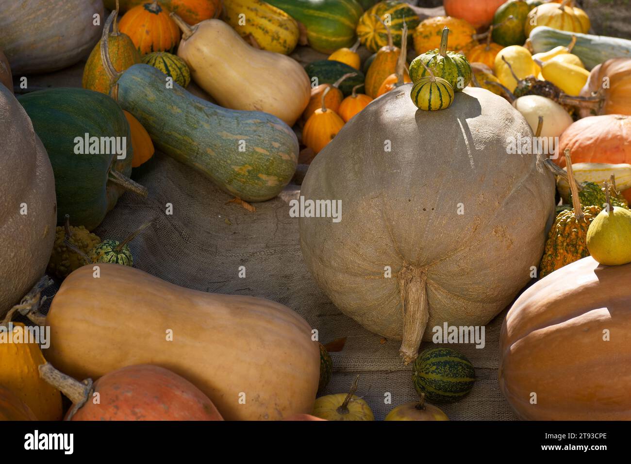 Calabash decoration hi-res stock photography and images - Alamy