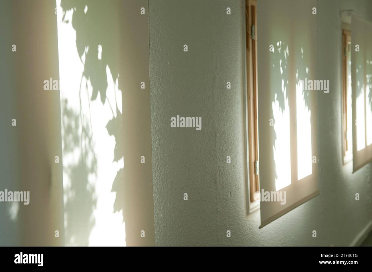 Window light shadow pattern abstract light through blinds for a museum ...