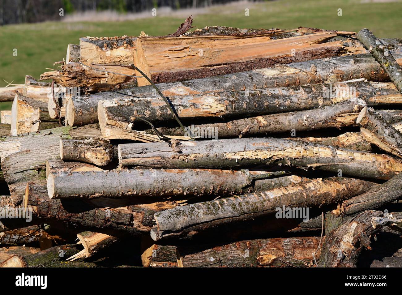 Pile of wooden blocks Stock Photo - Alamy