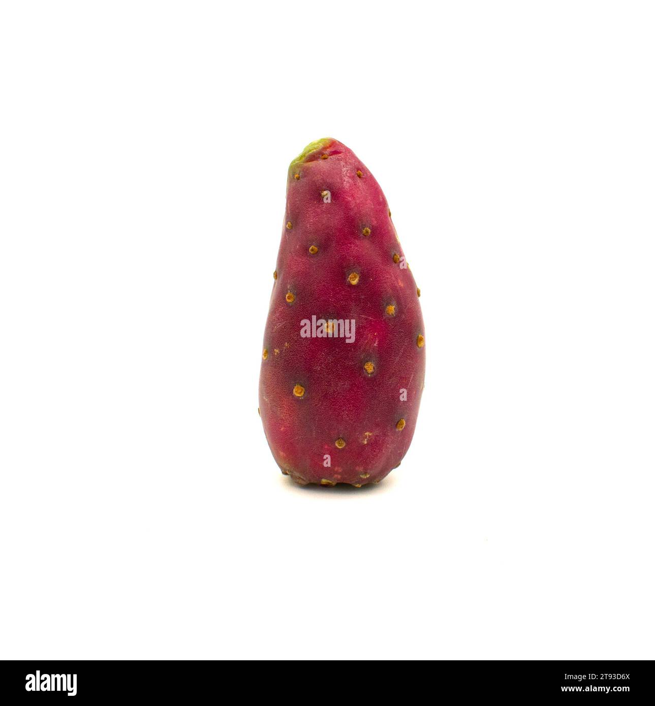 Pink fruit of the prickly pear cactus hi-res stock photography and ...