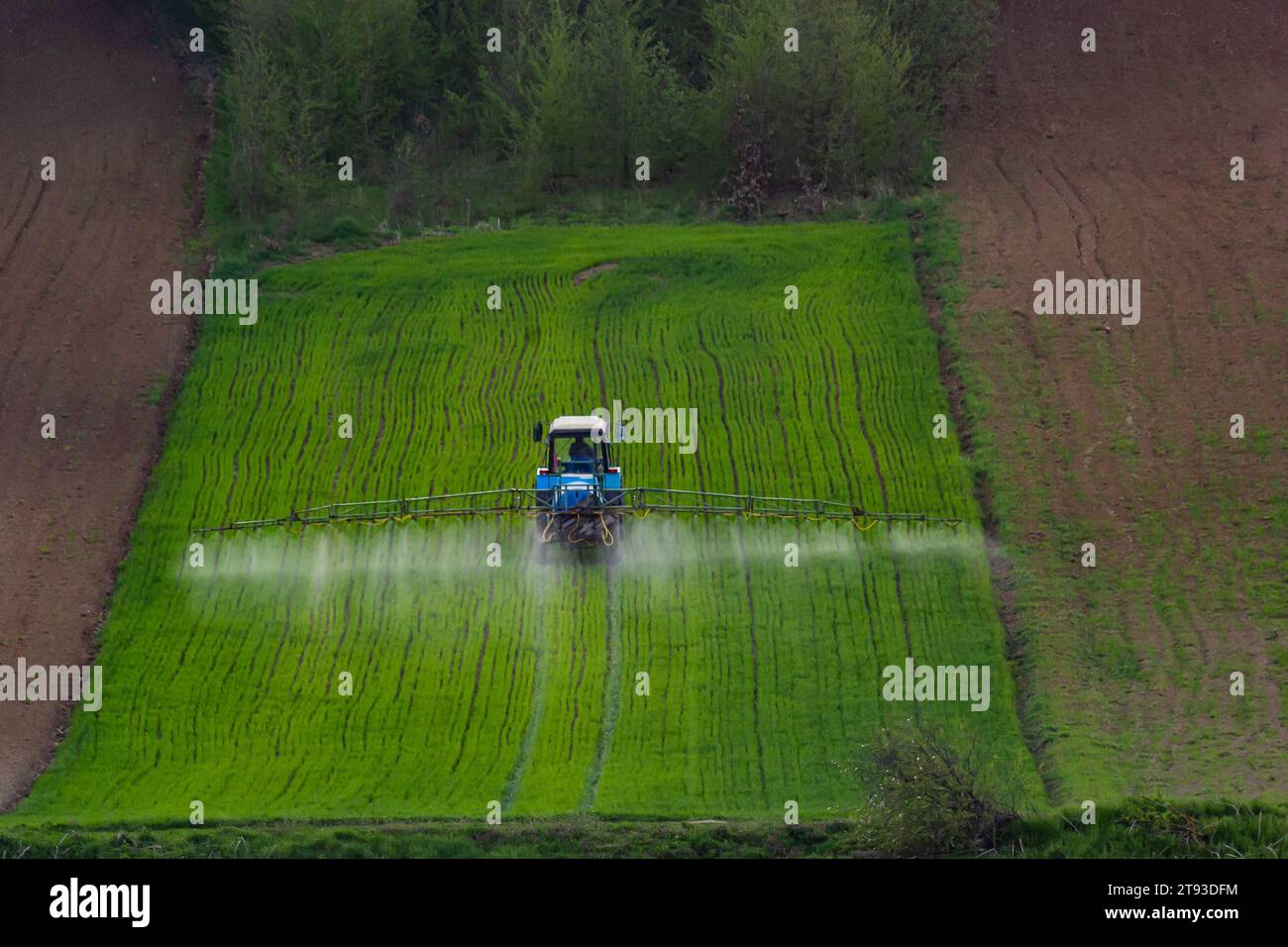 Aerial view of tractor spraying crop in green farm fields with ...
