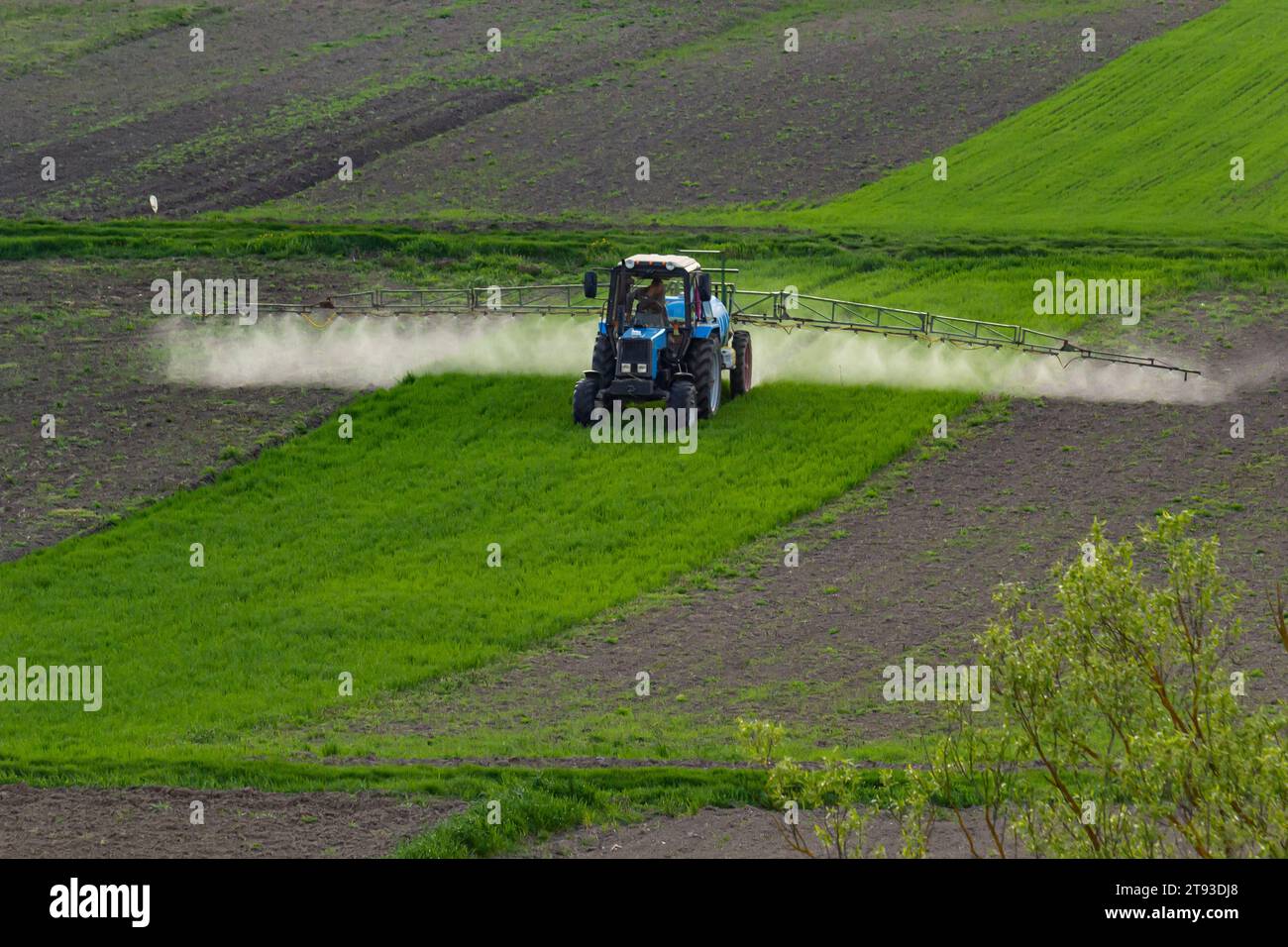 Aerial view of tractor spraying crop in green farm fields with ...