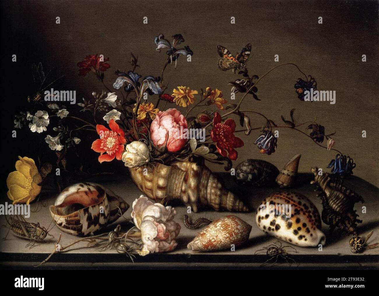 Still-Life of Flowers, Shells, and Insects c. 1635 by Balthasar Van Der Ast Stock Photo - Alamy