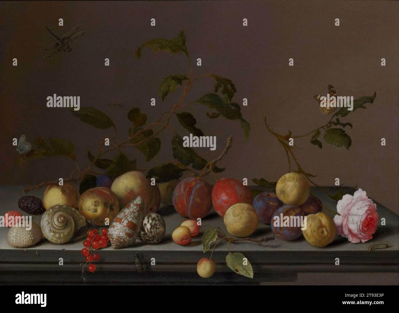 Still-Life - by Balthasar Van Der Ast Stock Photo - Alamy Still-Life - by Balthasar Van Der Ast Stock Photo - Alamy