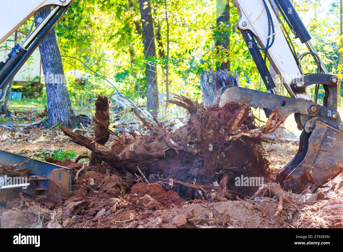 Worker using excavator uproots trees preparing ground area for ...