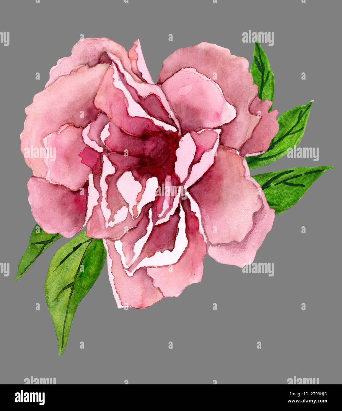 Lovely hand drawn floral hi-res stock photography and images - Alamy