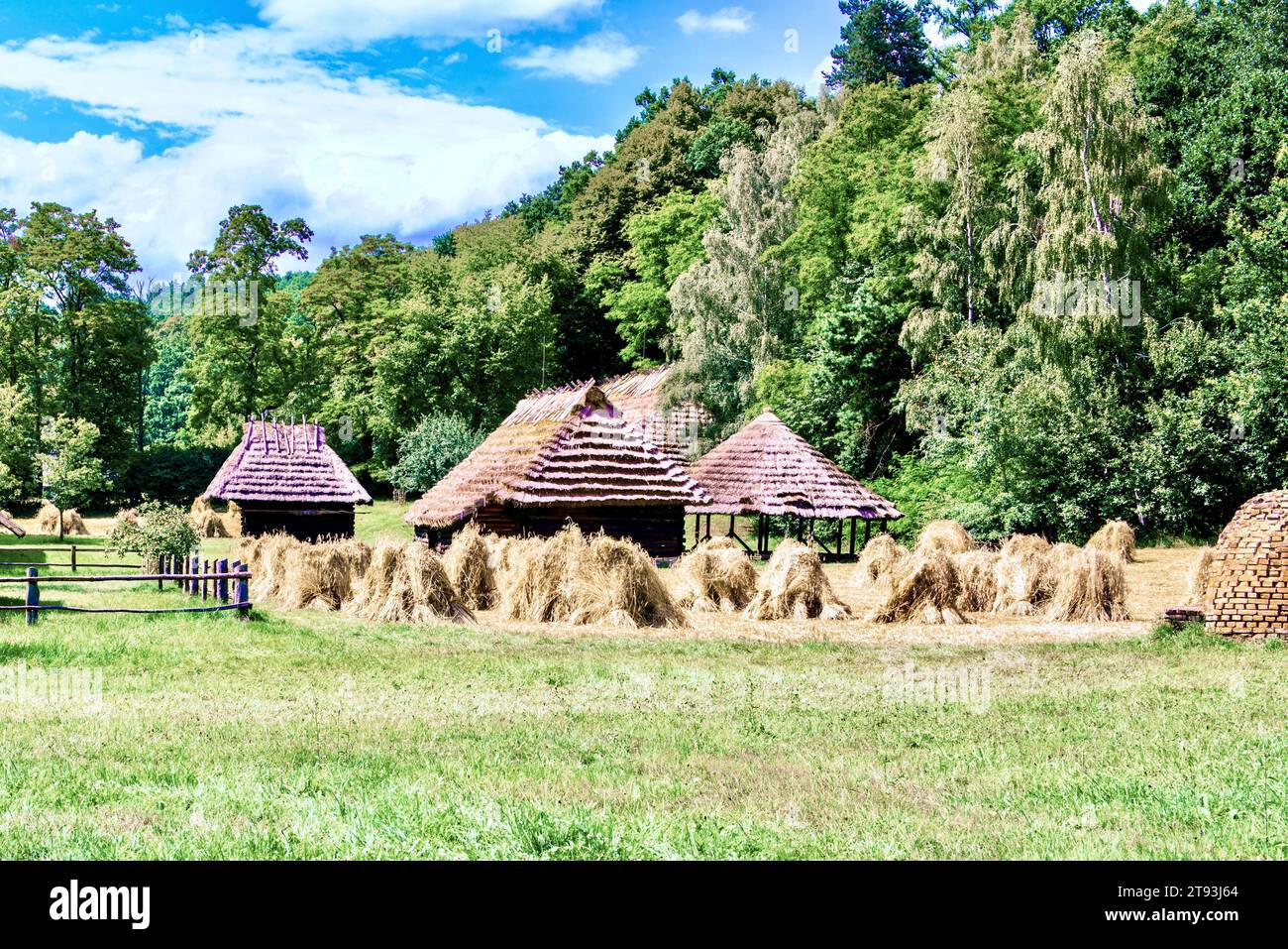 Beautiful rural landscape sheaves hi-res stock photography and images ...