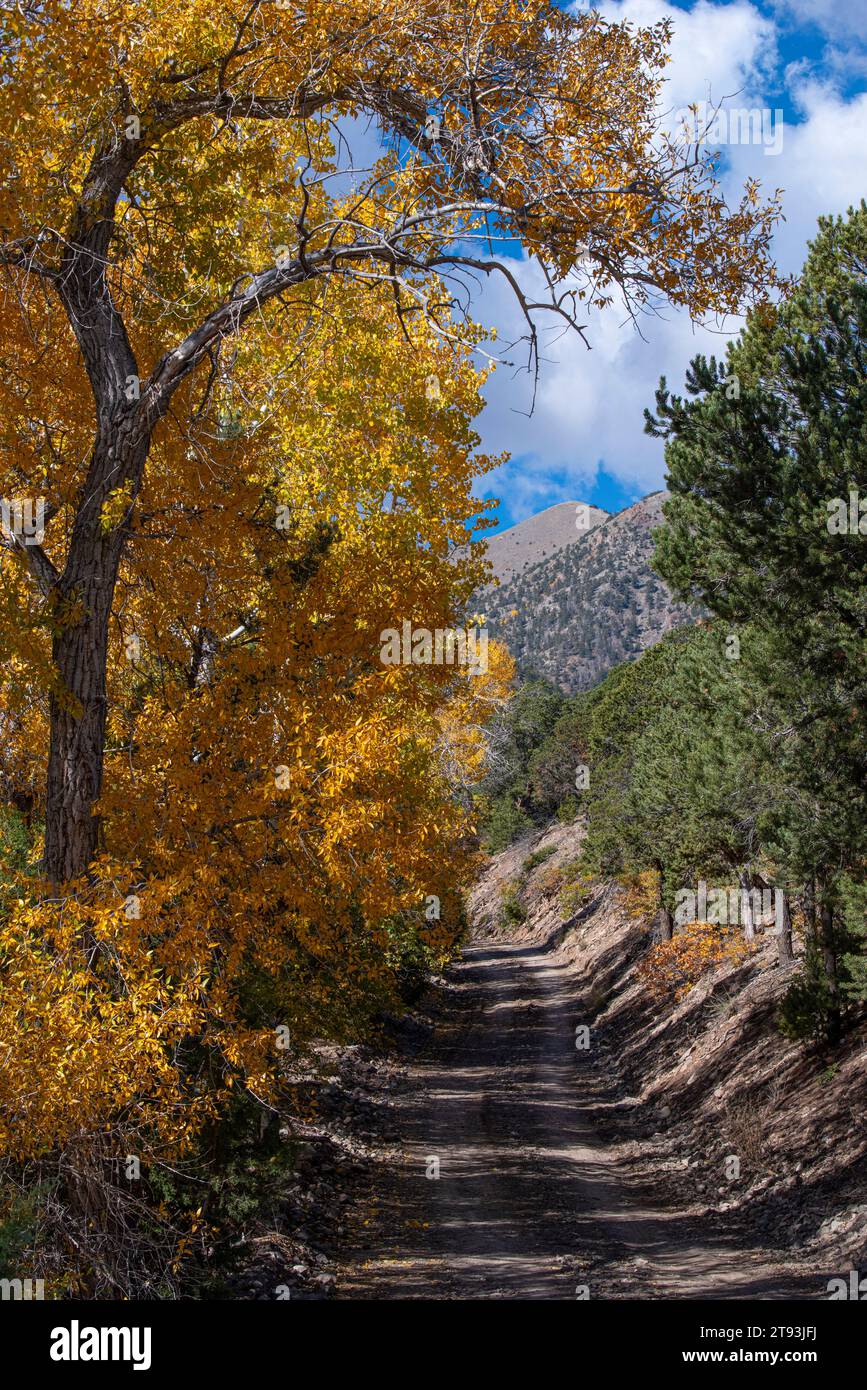 Henry mountains hi-res stock photography and images - Alamy