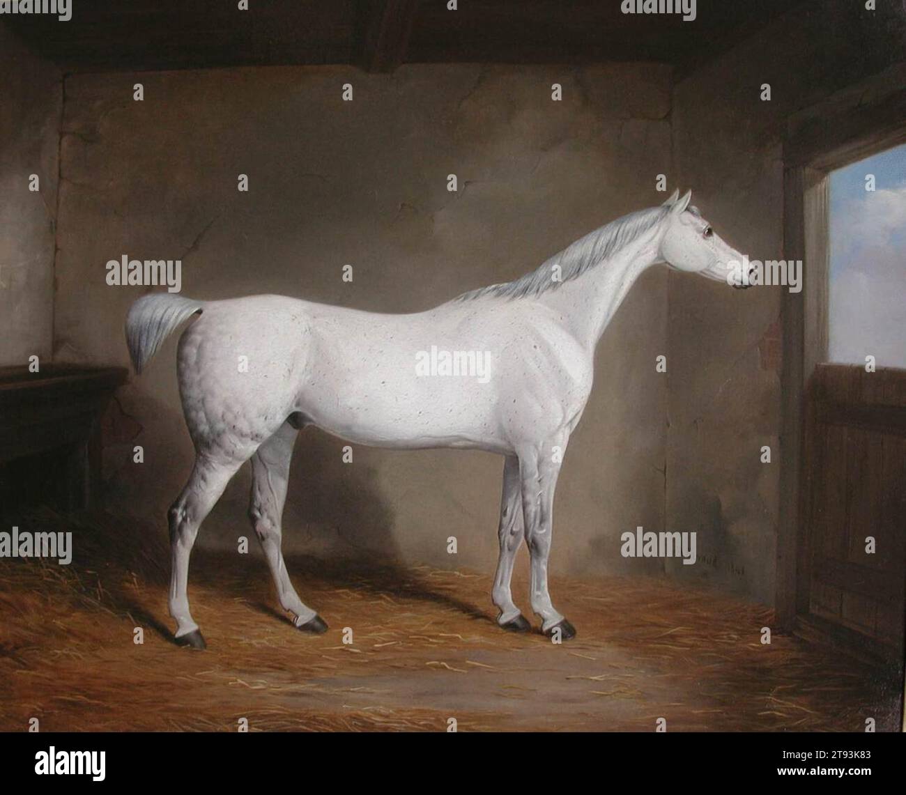A Grey in a Stable 1840 by William Barraud Stock Photo - Alamy