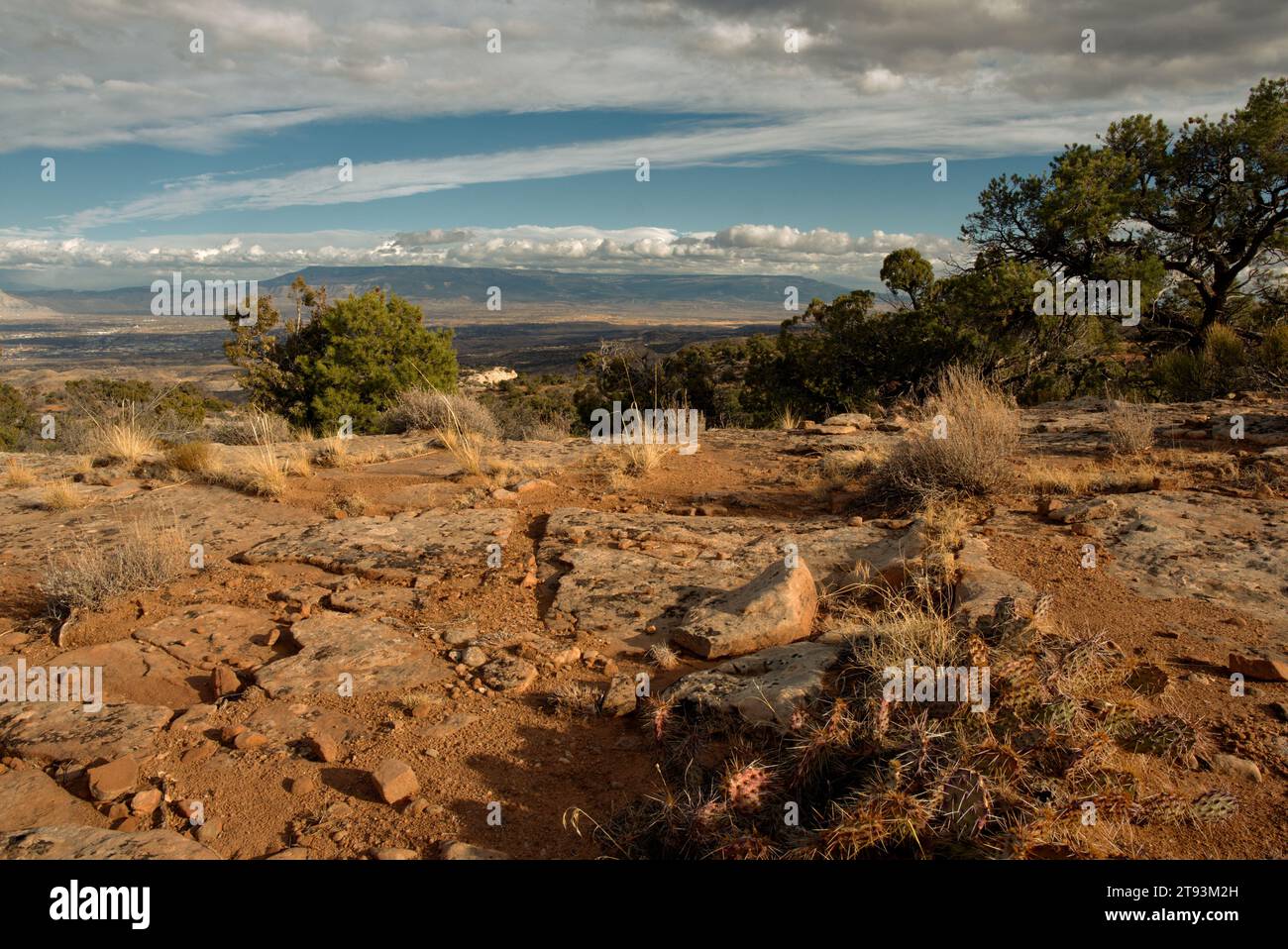 View from Cold Shivers Point at Colorado National Monument Stock Photo ...