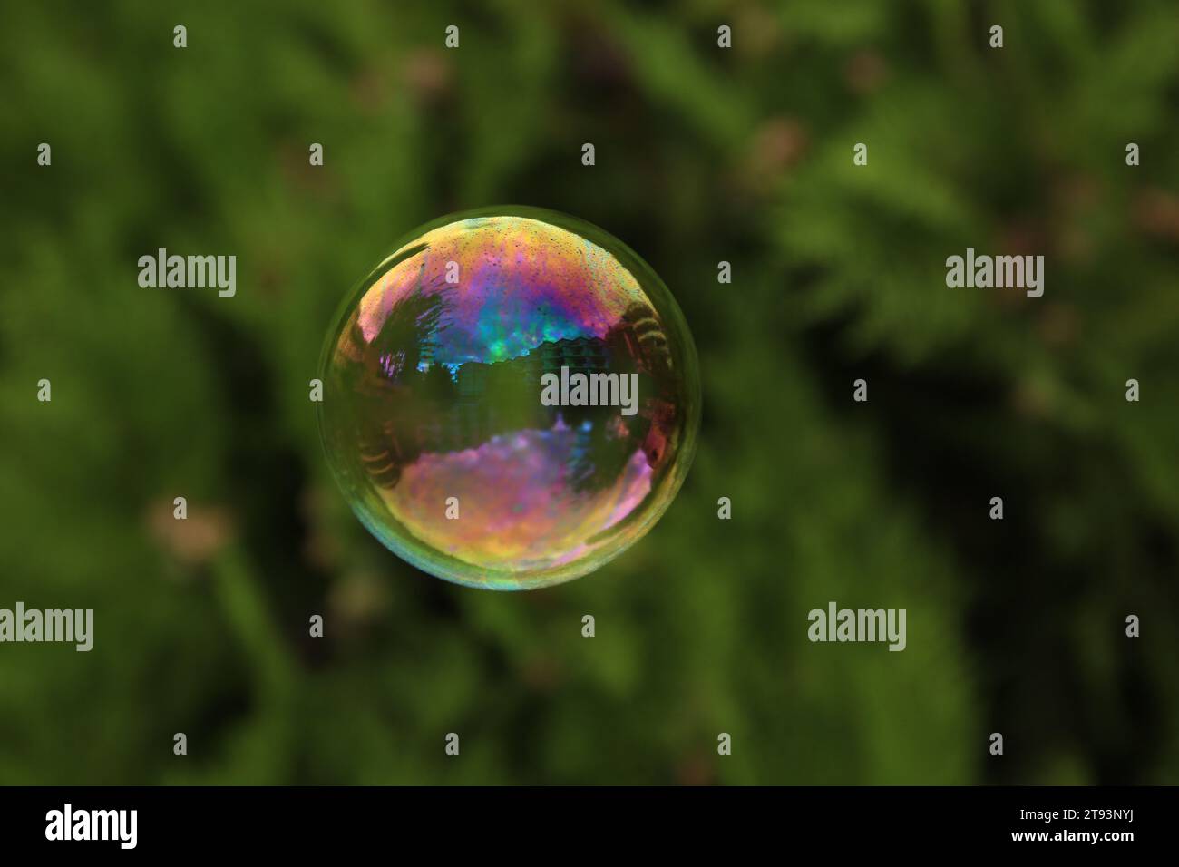 One beautiful clear soap bubble floating outdoors Stock Photo - Alamy