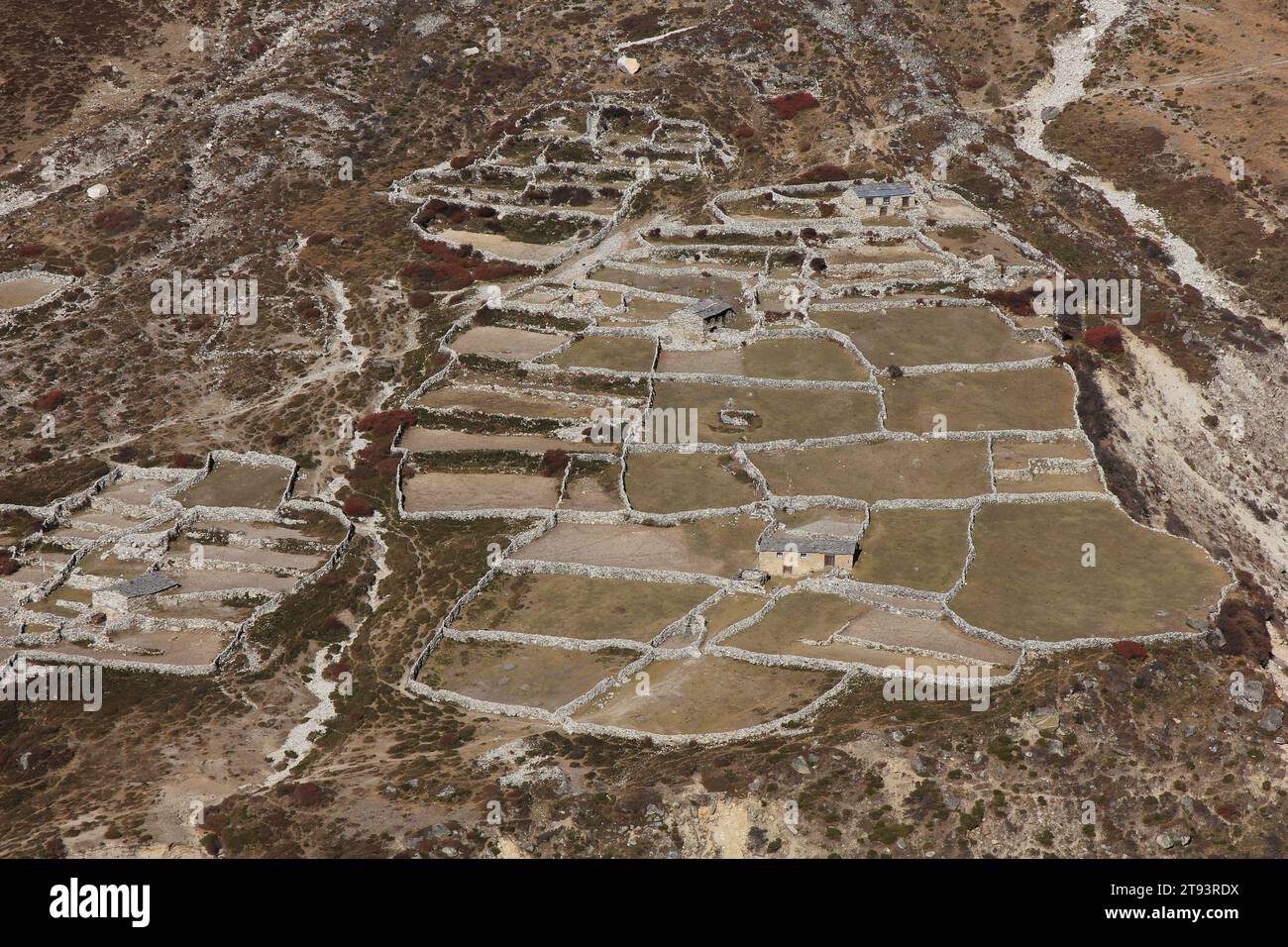 Small fields and huts in high altitude. Solukhumbu, Nepal Stock Photo ...