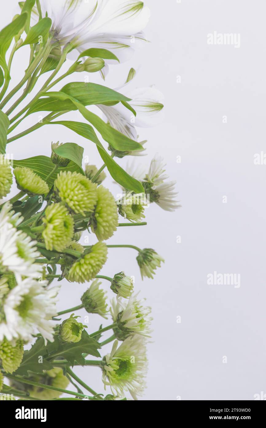 Flowers border with green and white petals in white background. Fresh ...