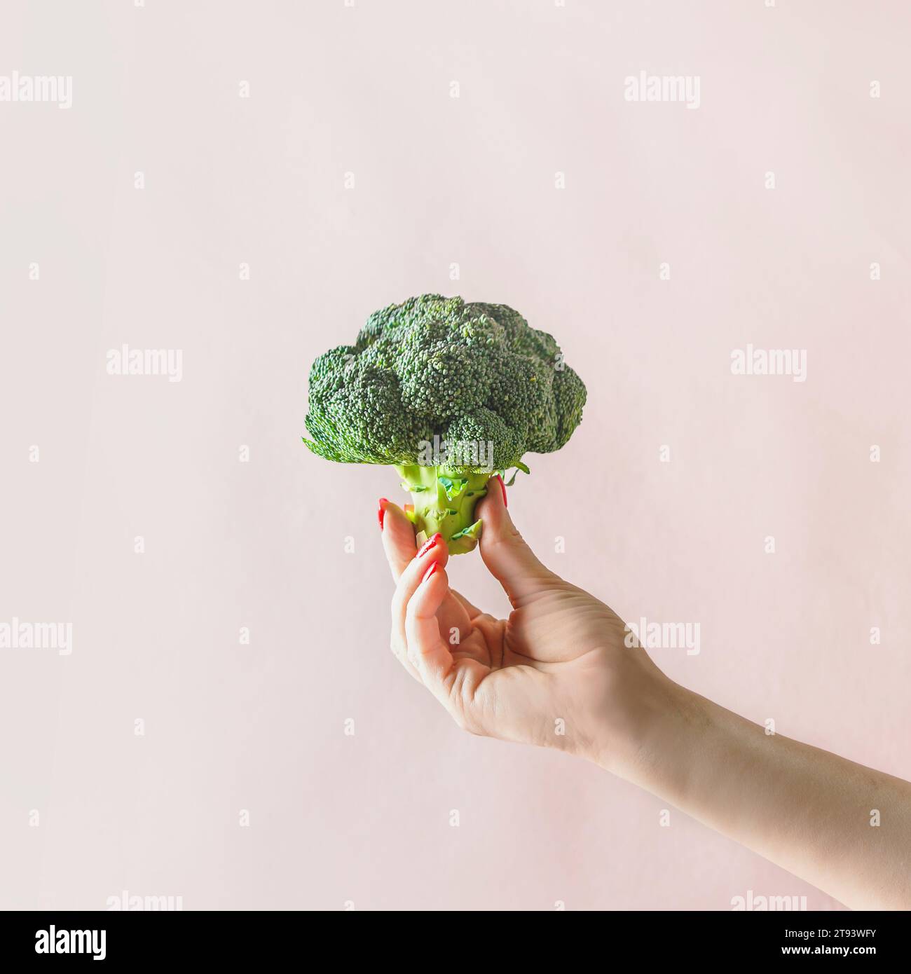 Woman hand holding whole raw green broccoli at pale beige wall ...