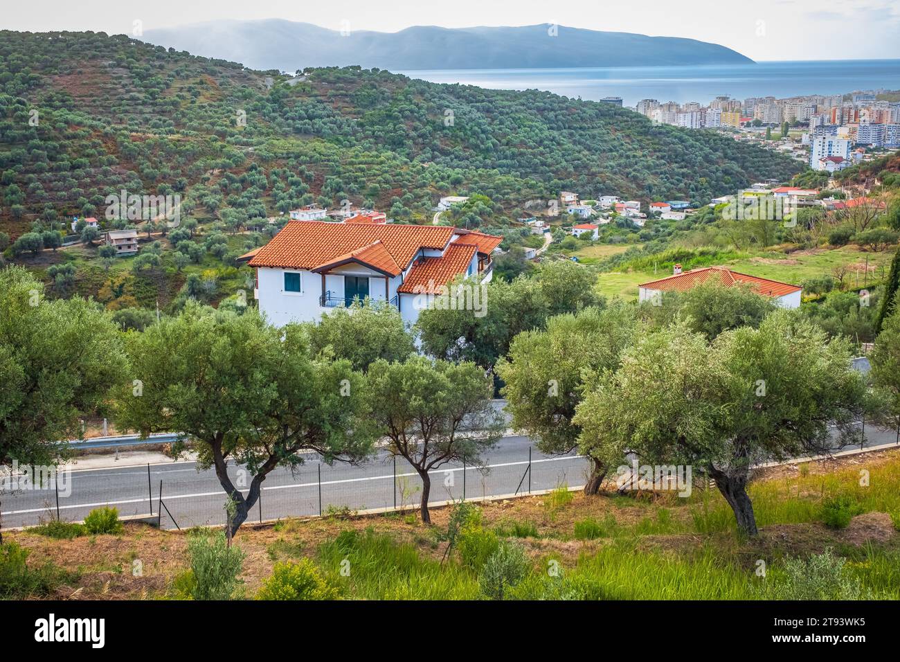 Olive trees grove stone house hi-res stock photography and images - Alamy