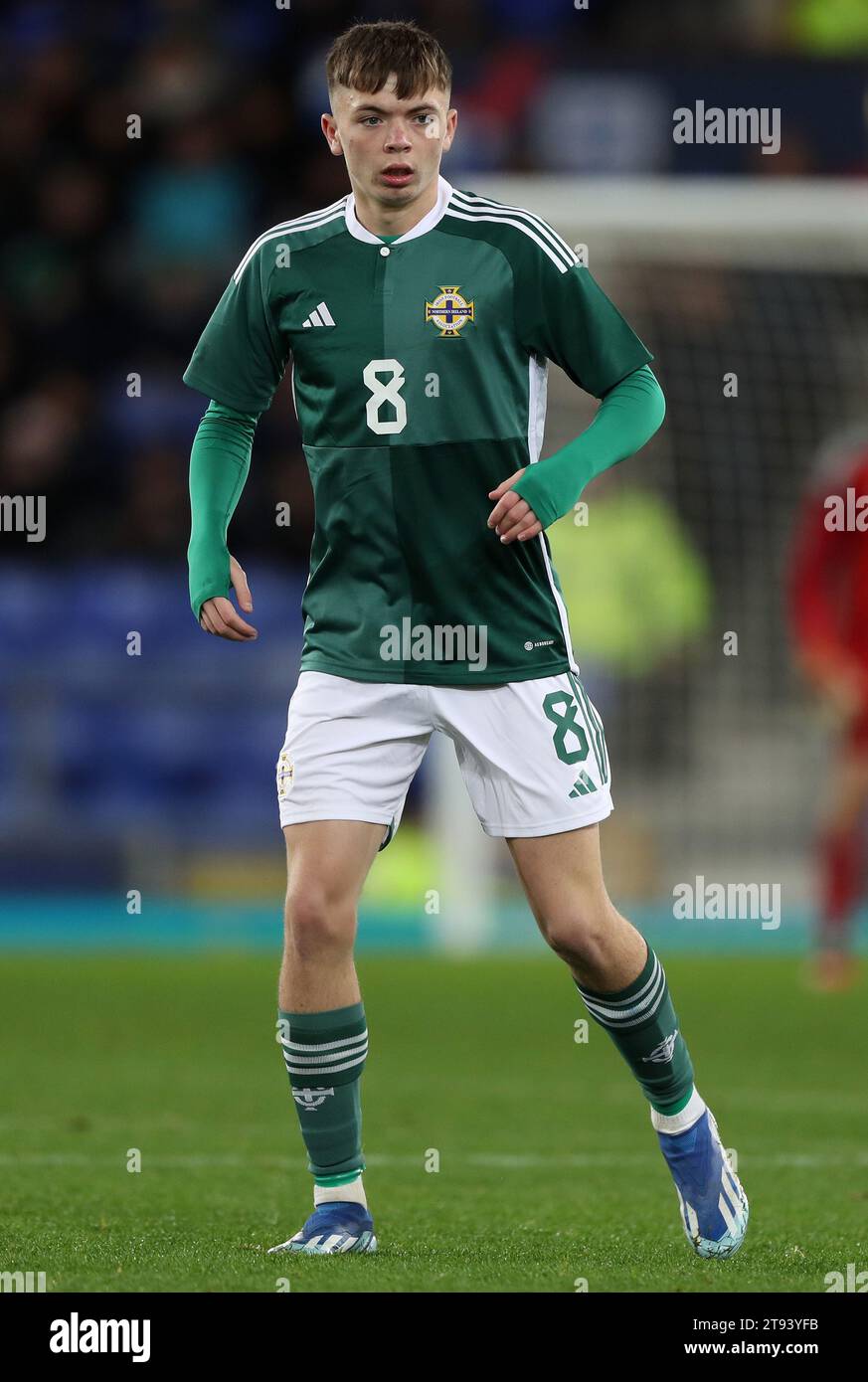 Goodison Park, Liverpool, UK. 21st Nov, 2023. Euro 2025 Group F ...